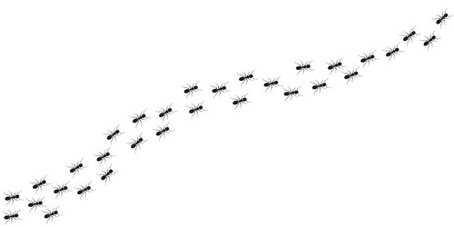 Ant trail ants marching or walking Royalty Free Vector Image