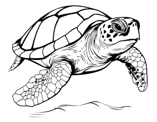 Sea turtle hand drawn engraving style sketch Vector Image