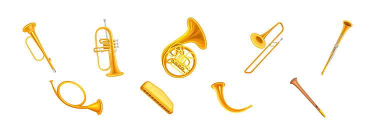 Brass musical instruments with french horn Vector Image