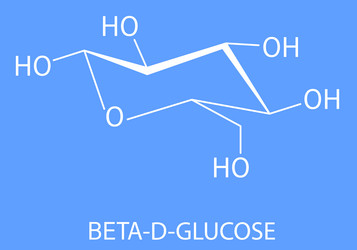 Glucose dextrose or grape sugar molecule Vector Image