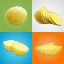 Fried potatoes realistic set Royalty Free Vector Image