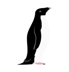 Penguin Side View Vector Images (77)