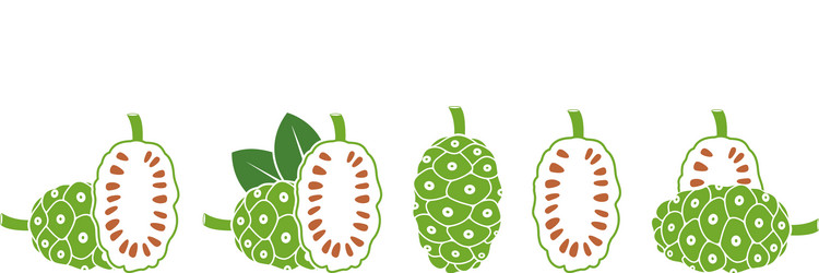 Noni Vector Images (over 170)