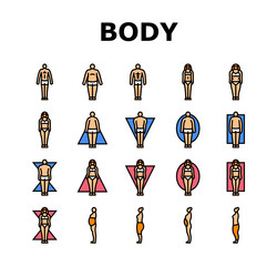 Anatomy Drawing Vector Images (over 30,000)