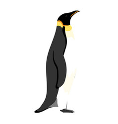 Penguin Side View Vector Images (77)