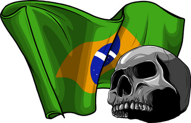 Human skull with brazil flag Royalty Free Vector Image
