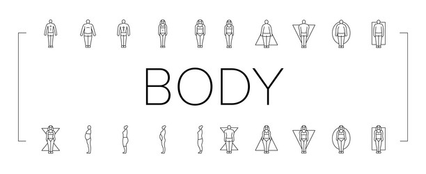 Body human anatomy figure icons set Royalty Free Vector