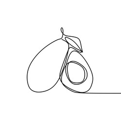 Avocado Continuous One Line Drawing Fruit Vector Image