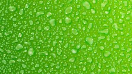 Green background of water drops Royalty Free Vector Image