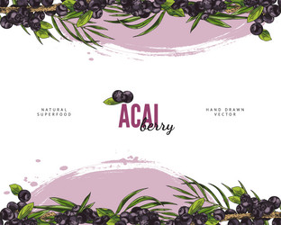 Acai berry superfood seamless border sketch Vector Image