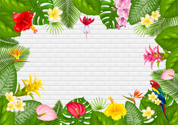 Anthurium Border Vector Images (55)