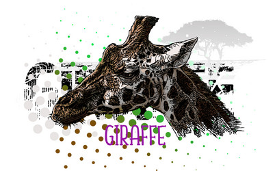 Head Banner Vector Images (over 70,000)