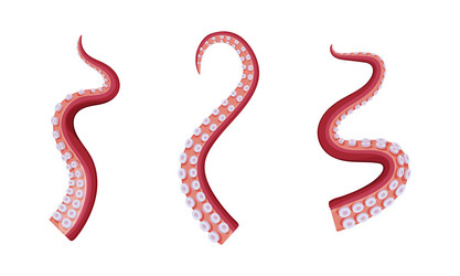 Parts of Octopus Vector Images (over 220)