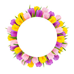 Tulips round frame with gift Royalty Free Vector Image
