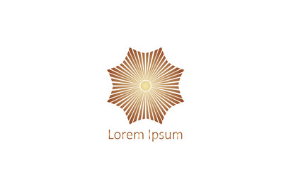 Creative luxury abstract diamond concept logo Vector Image