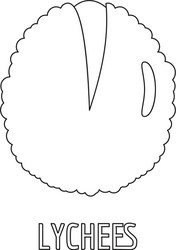 Lychee Vector Images (over 3,200)