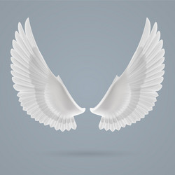Wings Vector Images (over 370,000)