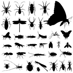 Insect Vector Images (over 200,000)