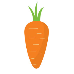 Single carrot Royalty Free Vector Image - VectorStock