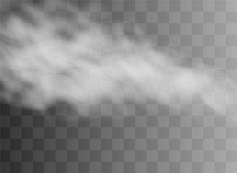 Transparent special effect stands out with fog Vector Image