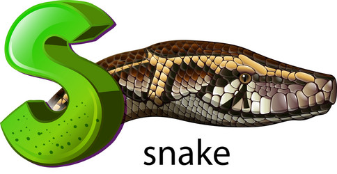 Letter S Snake Vector Images (over 130)