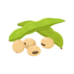 Dried beans isolated on white background Vector Image