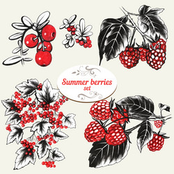 Berries and leaves set Royalty Free Vector Image