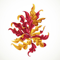Red Algae Vector Images (over 2,700)