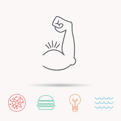 Biceps muscle icon bodybuilder strong arm sign Vector Image