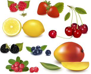 Summer Fresh Vector Images (over 320,000)