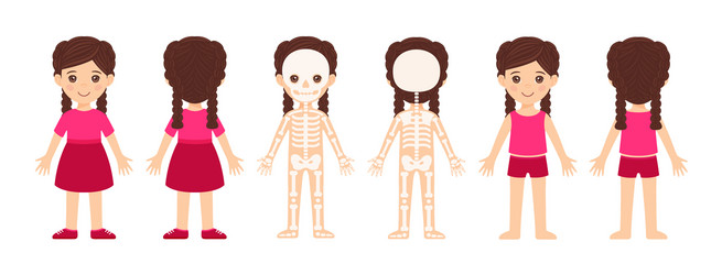 Cartoon human body systems for medical education Vector Image