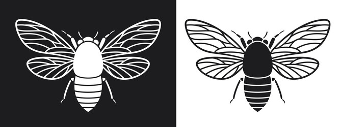 Cicada Royalty Free Vector Image - VectorStock