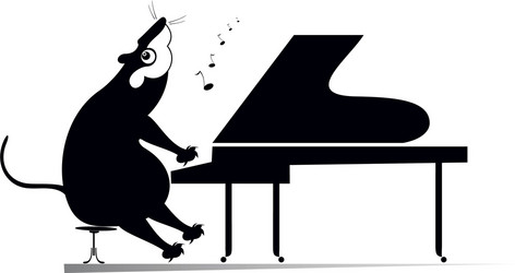 Pianist rat or mouse plays piano isolated Vector Image
