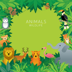 Group of wild animals zoo frame Royalty Free Vector Image