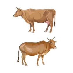 Different cows colors set Royalty Free Vector Image