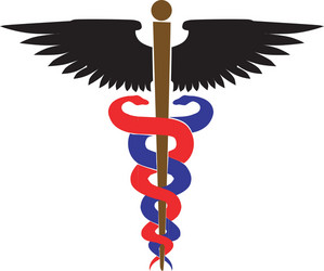Caduceus gold medical symbol Royalty Free Vector Image