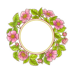 Wild rose flowers frame Royalty Free Vector Image
