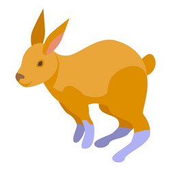 Running rabbit icon isometric dutch pet Royalty Free Vector