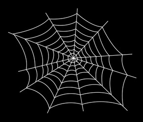 White spiderweb with spiders on transparent Vector Image