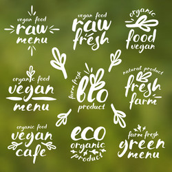 Raw Vector Images (over 260,000)