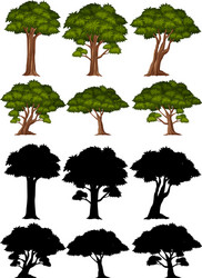 Silhouette pictures big tree on white Royalty Free Vector