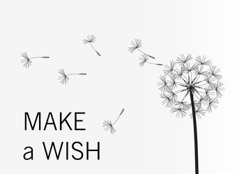 Dandelion make a wish simple minimalist style Vector Image