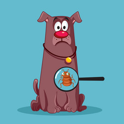 Unhappy cat having a flea problem cartoon Vector Image