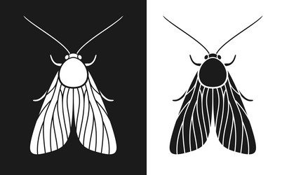 Moth Vector Images (over 17,000)