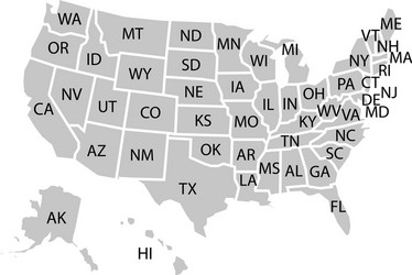 Blue usa map with states in flat style Royalty Free Vector