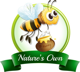 Cartoon bee with honeycomb collections set Vector Image