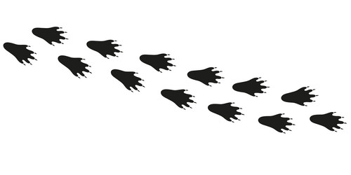 Beaver Footprint Vector Images (53)