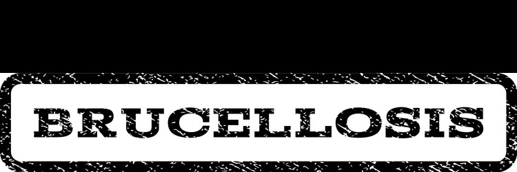 Brucellosis Vector Images (over 220)