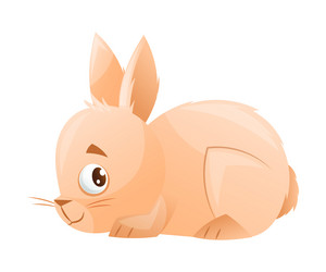 Cute bunny with long ears as farm animal Vector Image