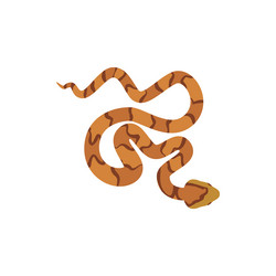 Snake Top View Vector Images (80)